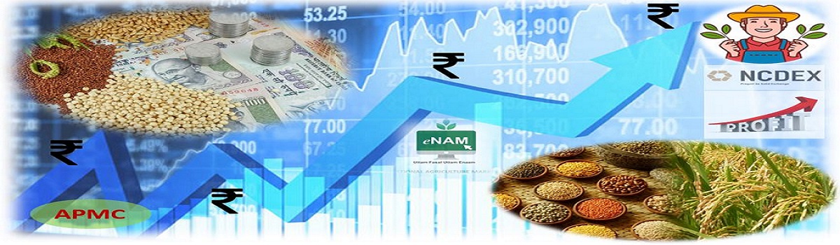 Price management in agri-commodity derivative markets: An Indian ...
